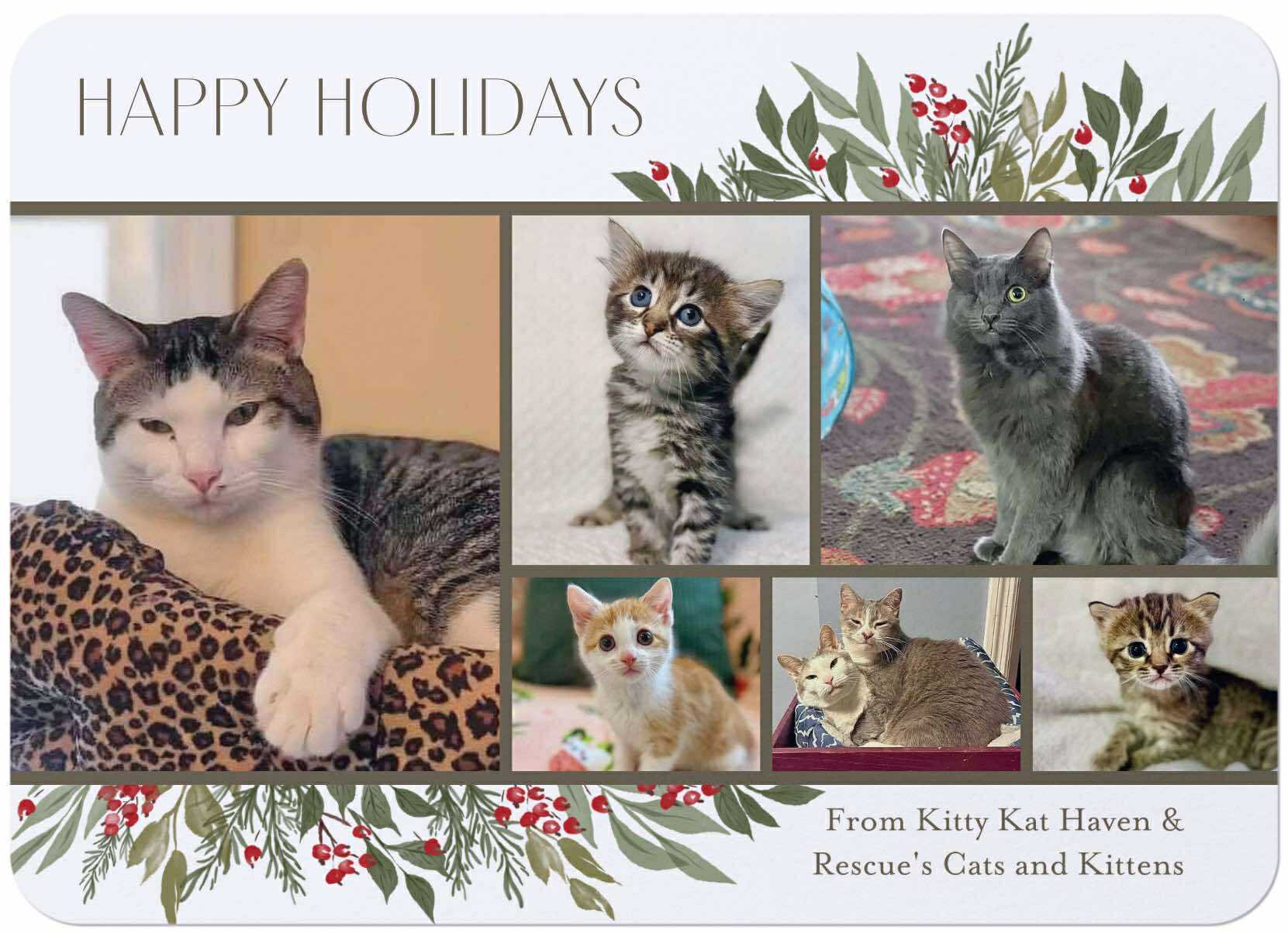 Haven Holiday Cards – Kitty Kat Haven & Rescue