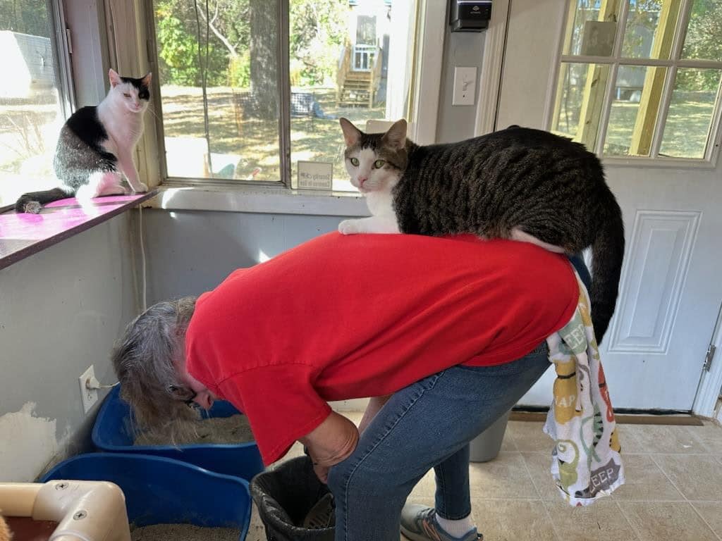 Working at the haven brings me so much joy. I fall in love with every ...